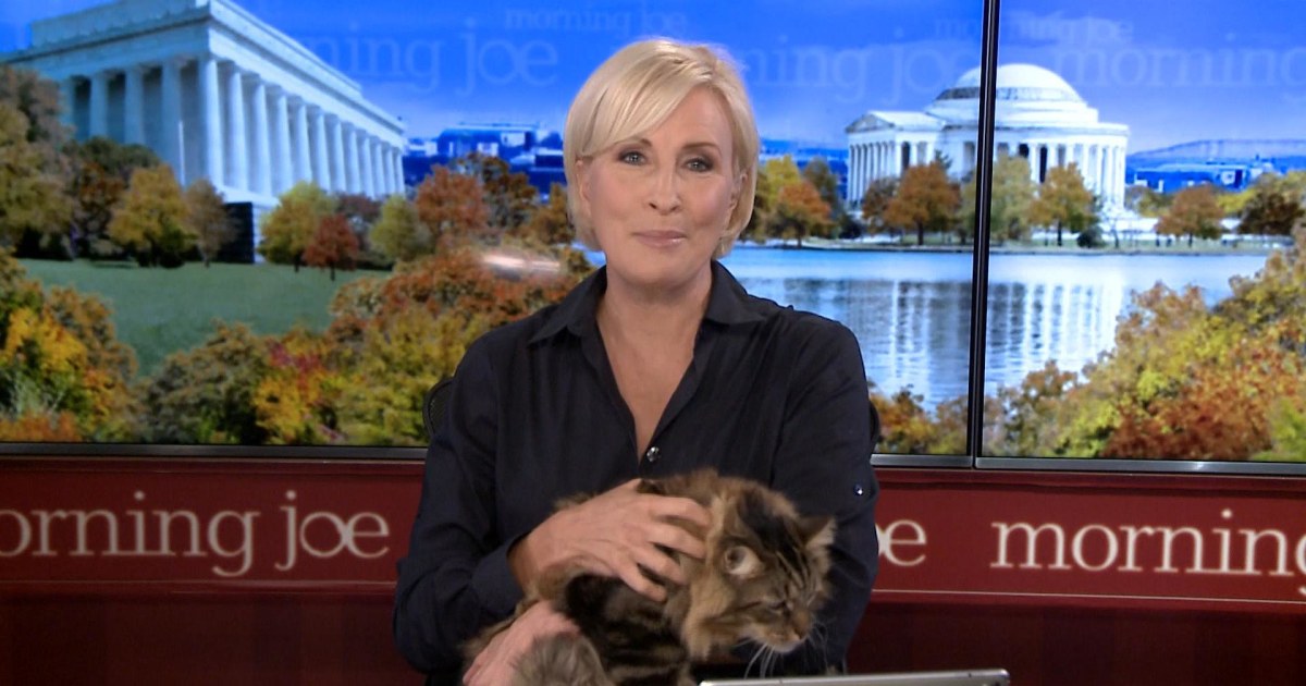 See Mika's Monday motivation: Open your heart to pets