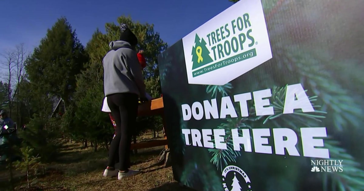 Trees for Troops ships Christmas cheer to those who serve around the world