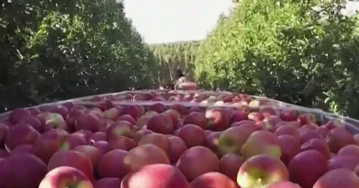 Creating an apple that stays fresh for a year, U.N. issues climate ...