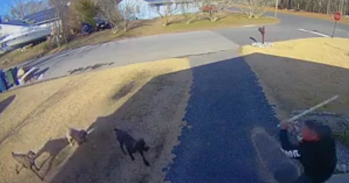 Video shows man defending himself against a pack of dogs using a pole