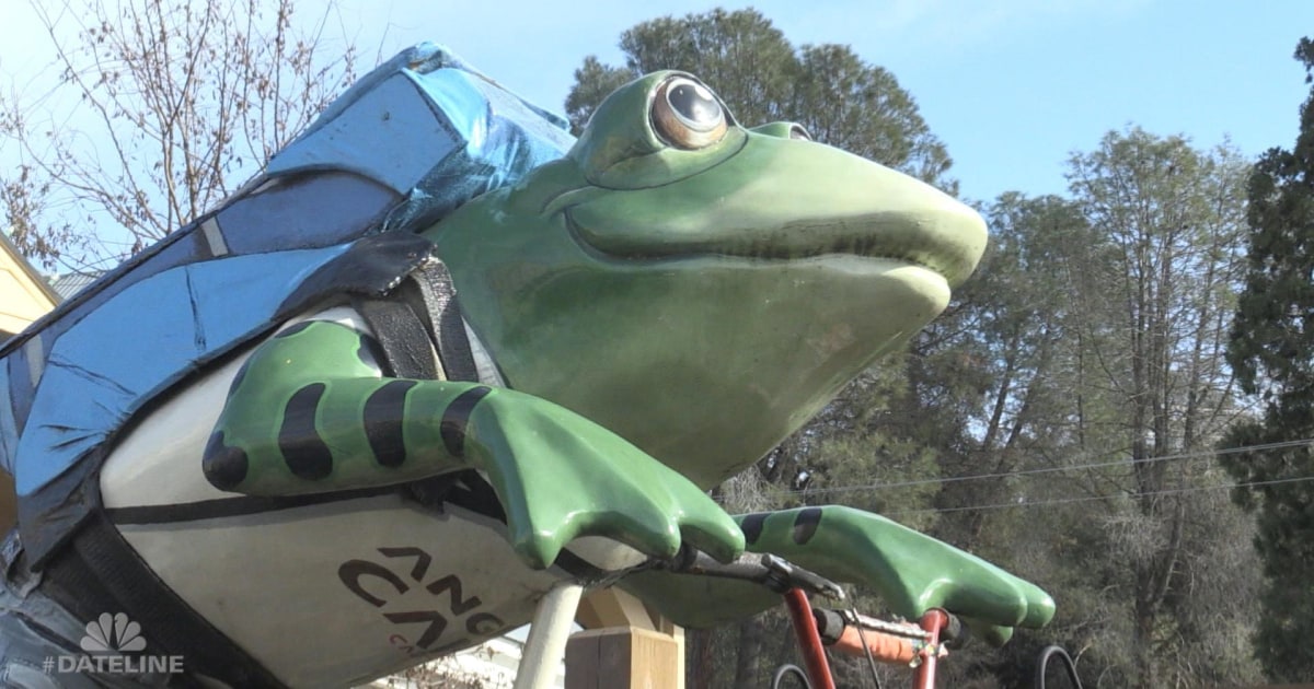 A Postcard from the Field: The Northern California Frog Jump