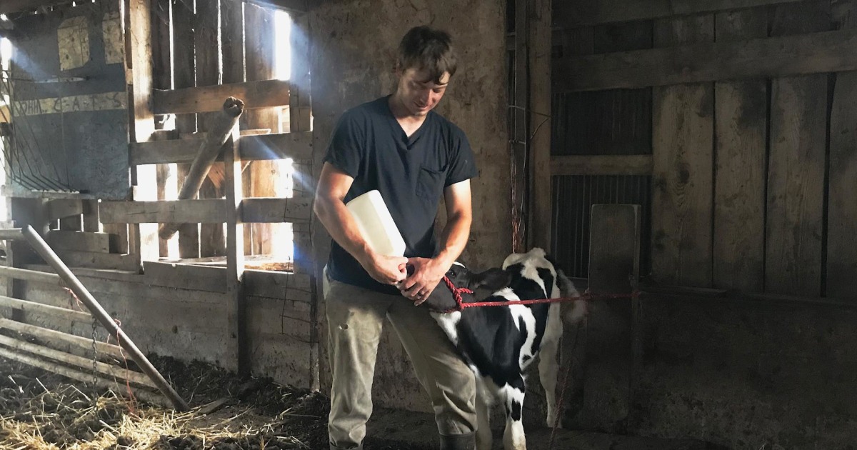 The Last Days of an American Dairy Farm