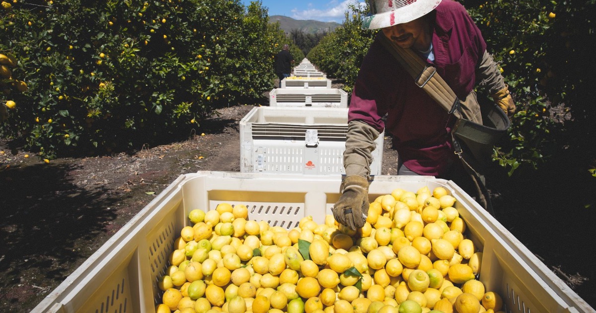 How essential farmworkers are affected by the coronavirus outbreak