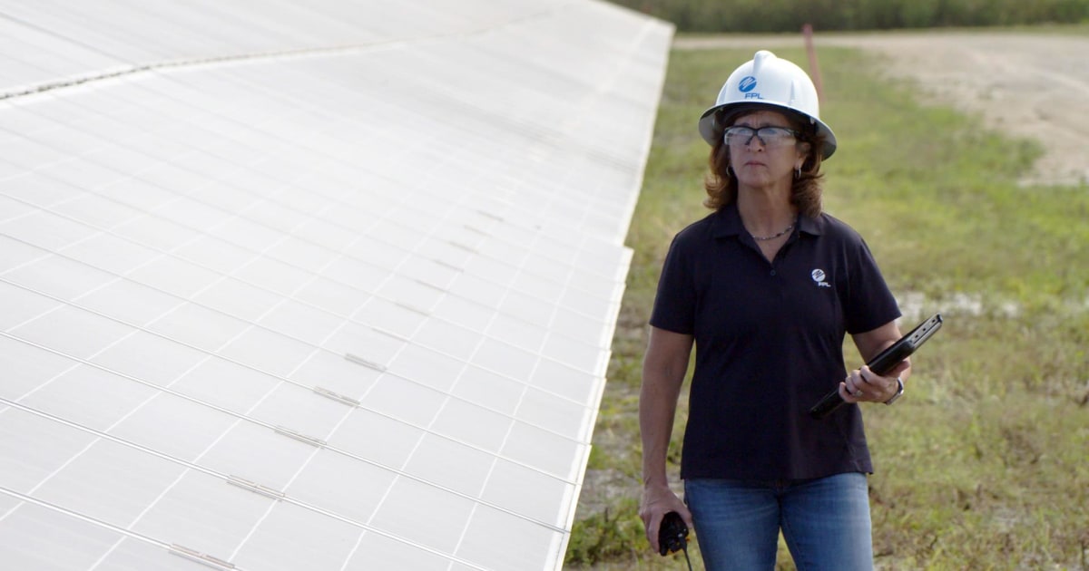 Solar City: The Future of Florida’s Energy (Part 1)