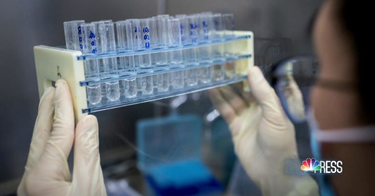 Vaccine tests should have first results by 'early June': Oxford Professor