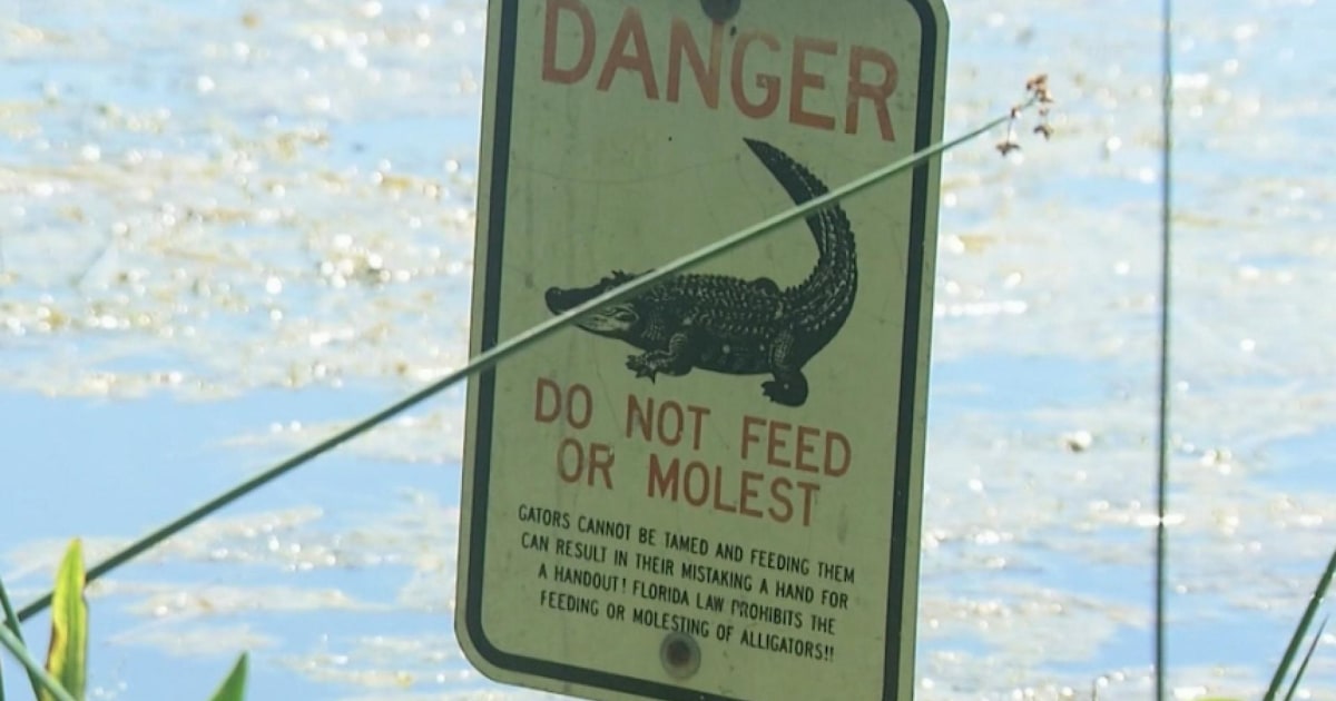 Alligator bites disc golfer's face