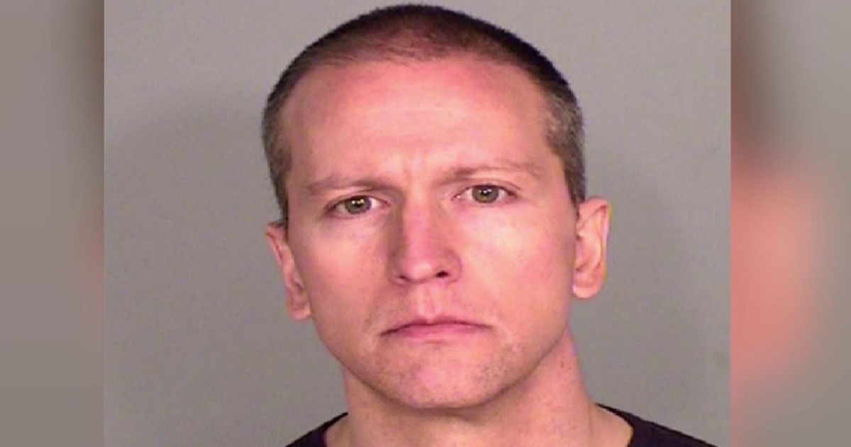 Derek Chauvin makes ‘very brief’ court appearance, bail set at $1.25M