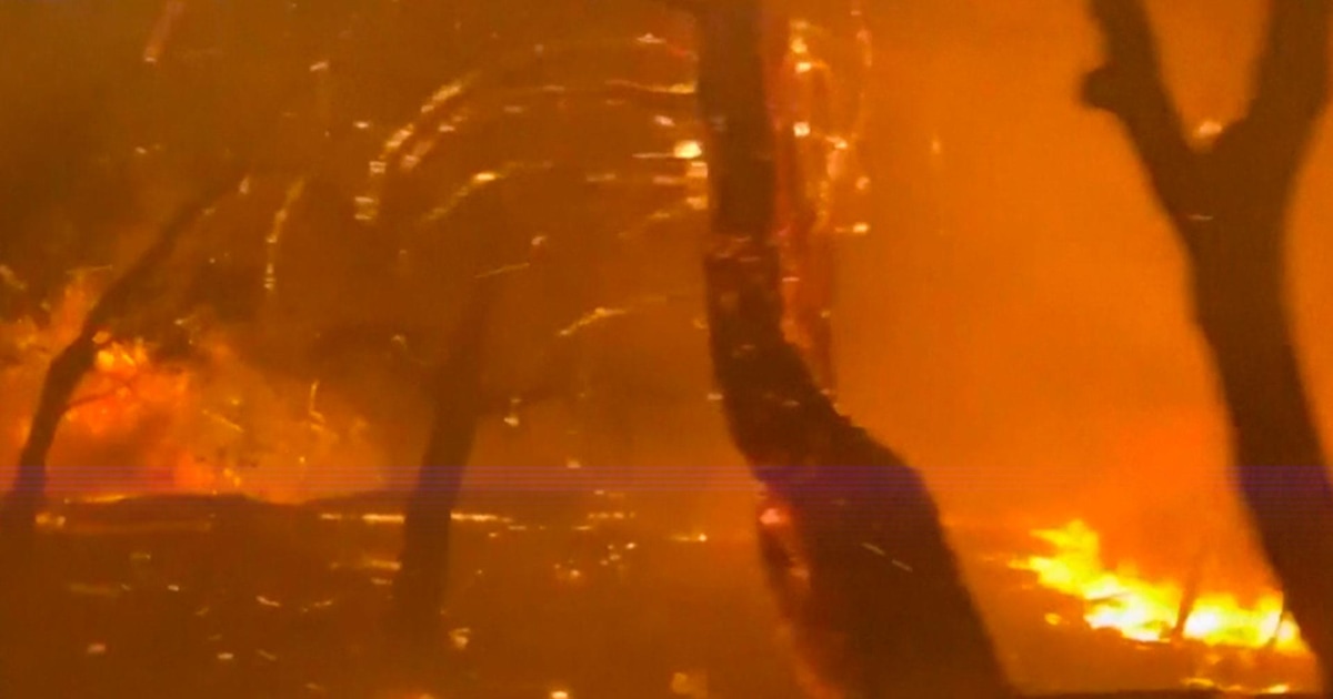 Vehicle drives through CZU August Lightning Complex hot zone in Santa Cruz