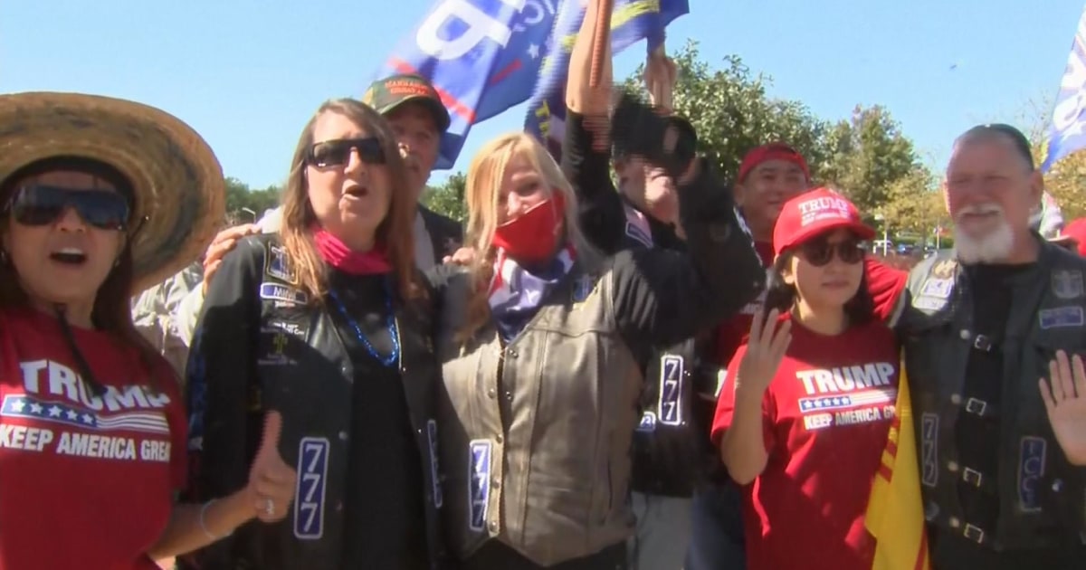 Trump supporters demonstrate at early voting sites in Virginia