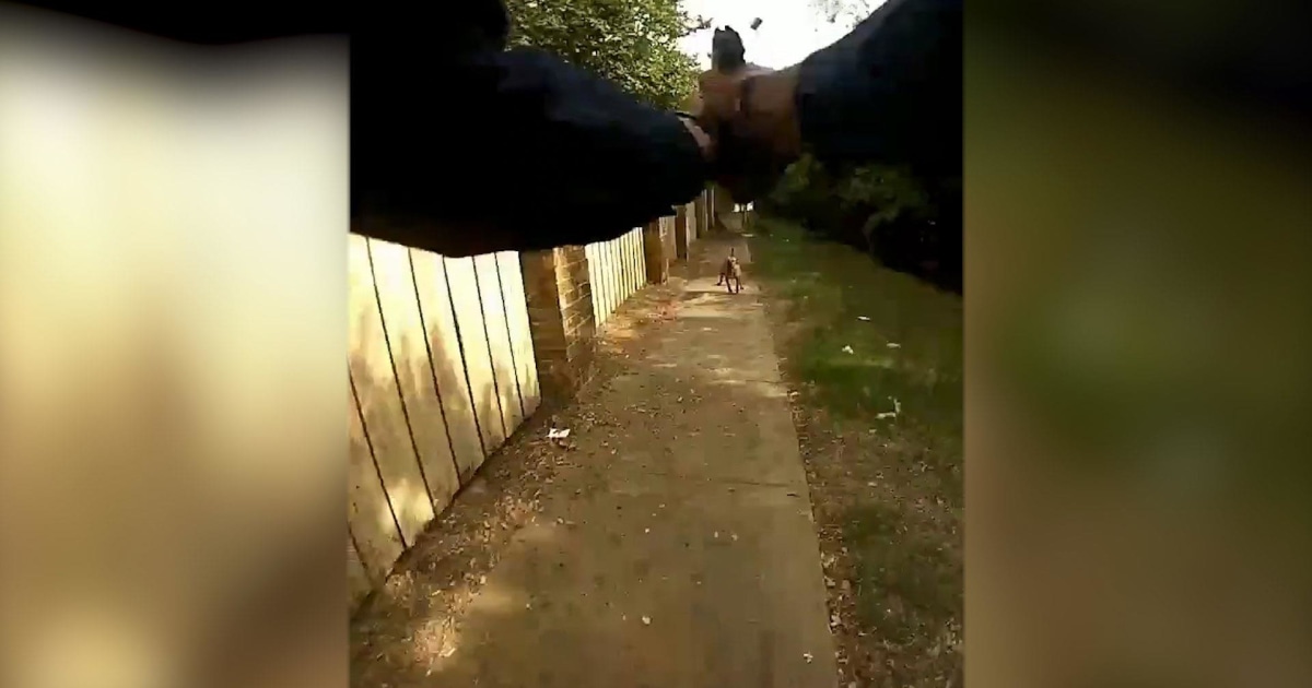 Bodycam shows Texas police officer fatally shooting woman whose dog ran ...