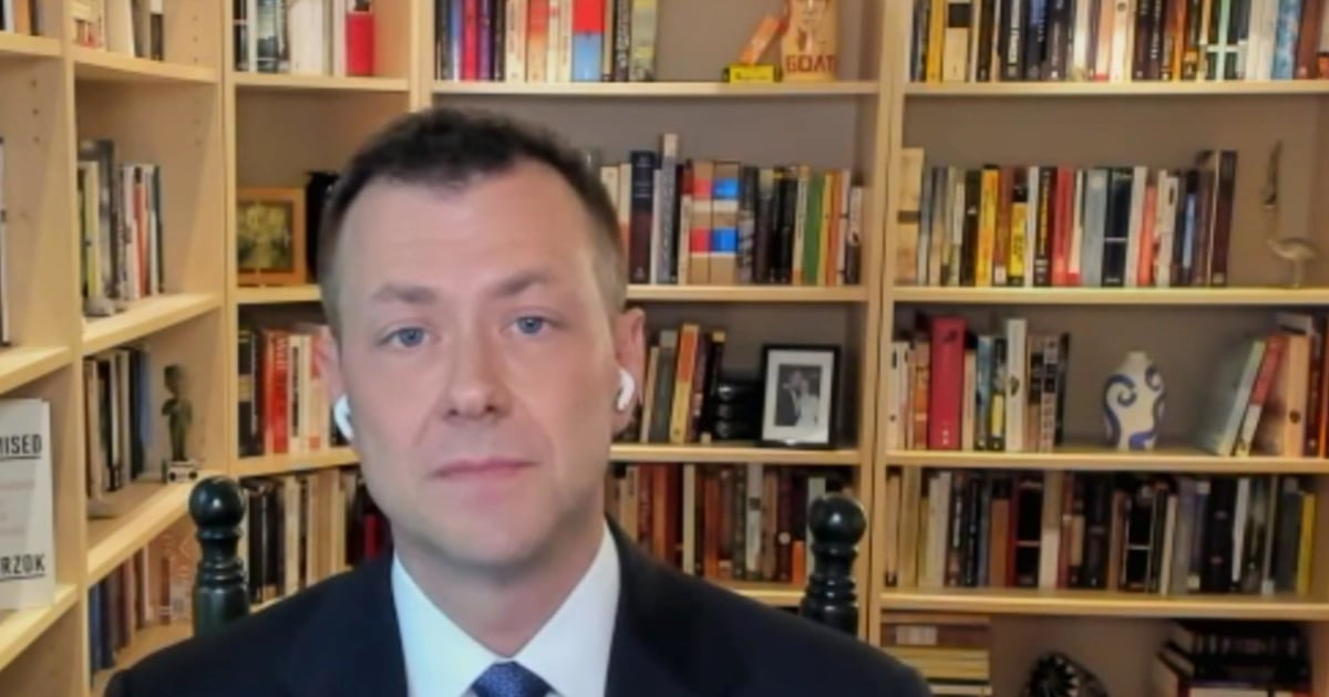 Former FBI agent Peter Strzok: Trump’s campaign strategy of division ...