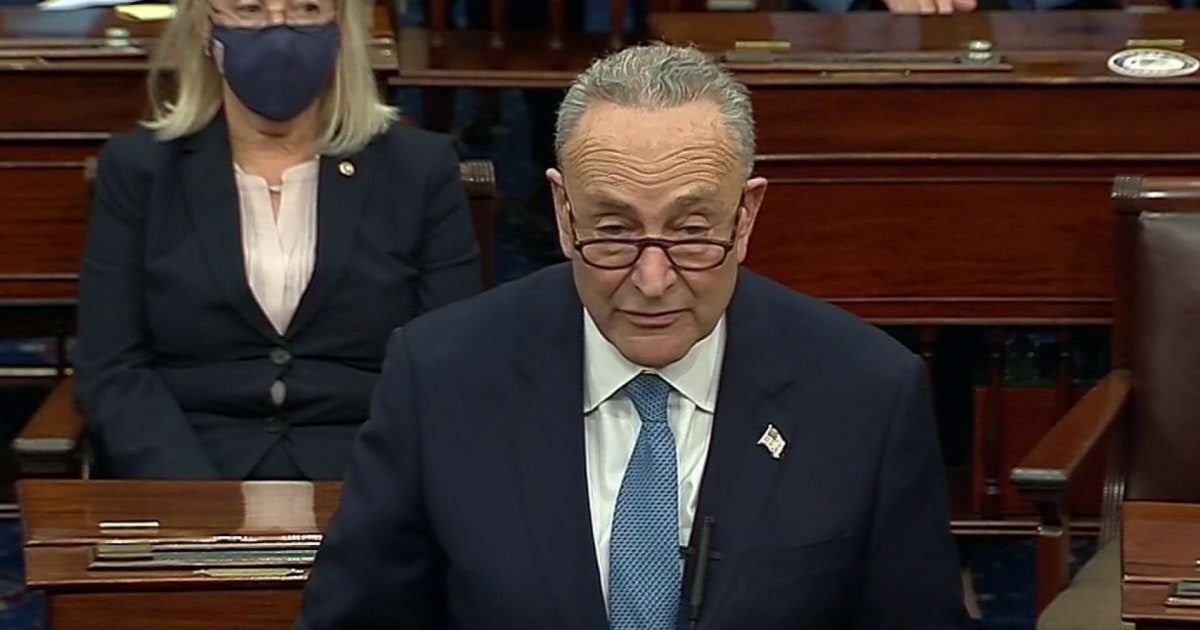 Schumer calls Capitol rioters domestic terrorists, says Trump holds blame