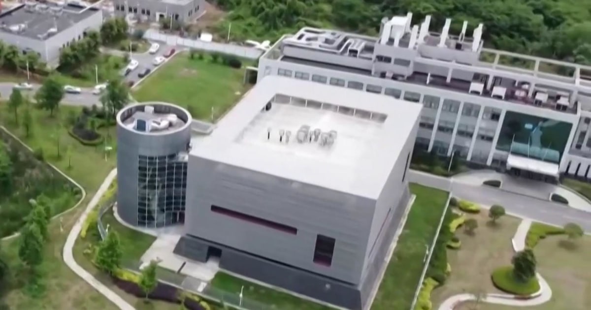 Questions rise after Chinese database with Covid research removed for ...