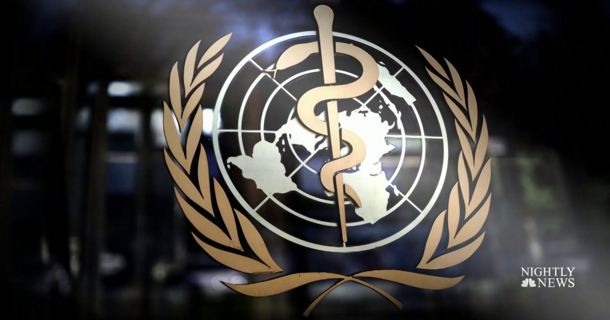 Growing criticism over joint WHO-China report on Covid origin