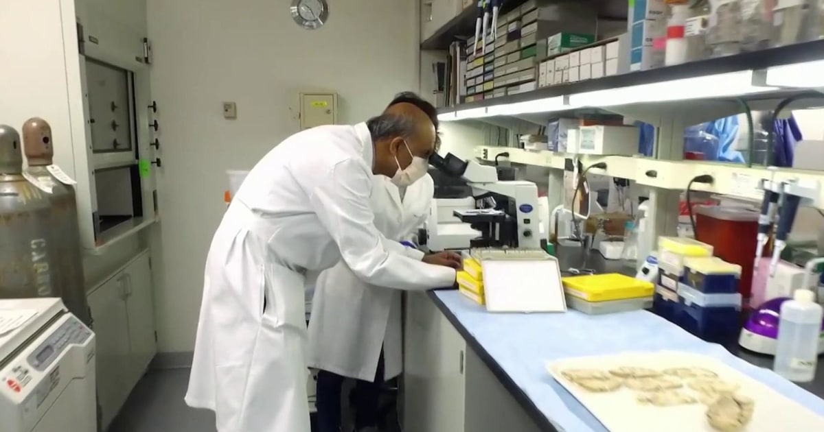 Exclusive look at NIH investigation into Covid ‘long-haulers’