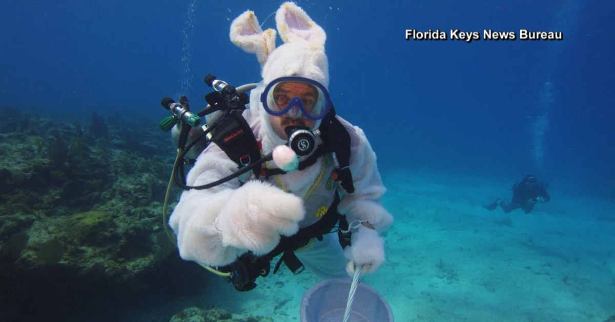 Easter Bunny takes divers on underwater egg hunt