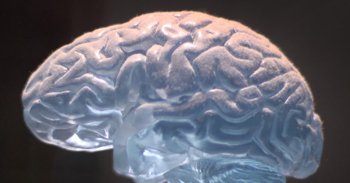 Having trouble saving? Blame your brain