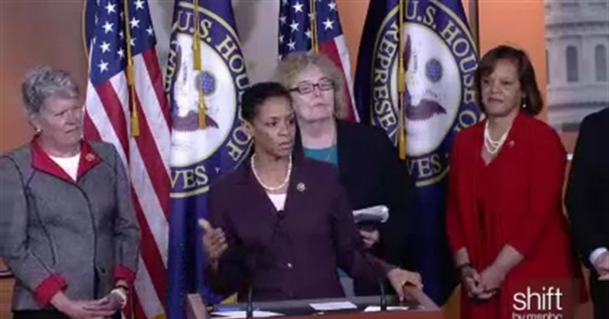 House leaders introduce and outline the Democracy Task Force initiative