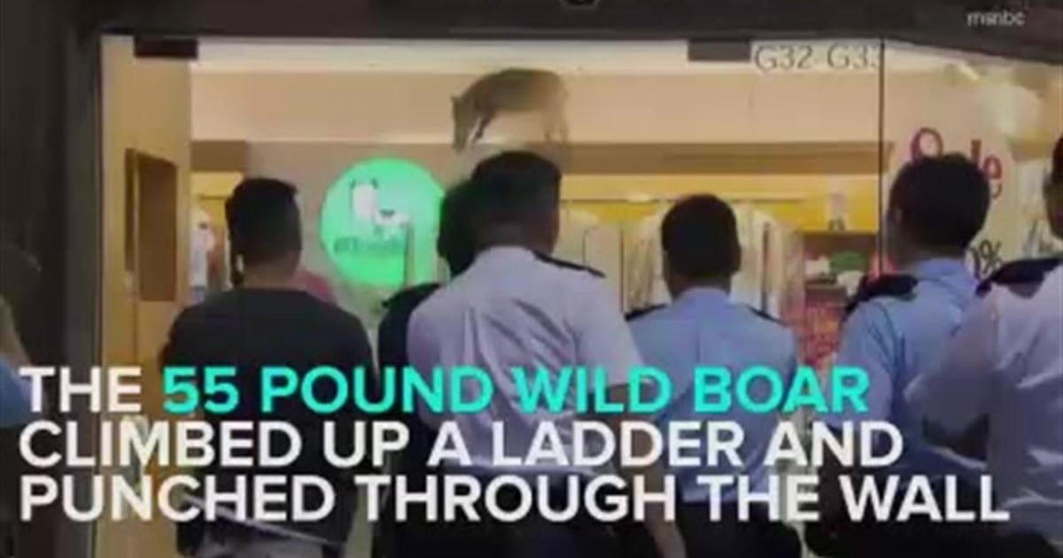 And now, from NowThis