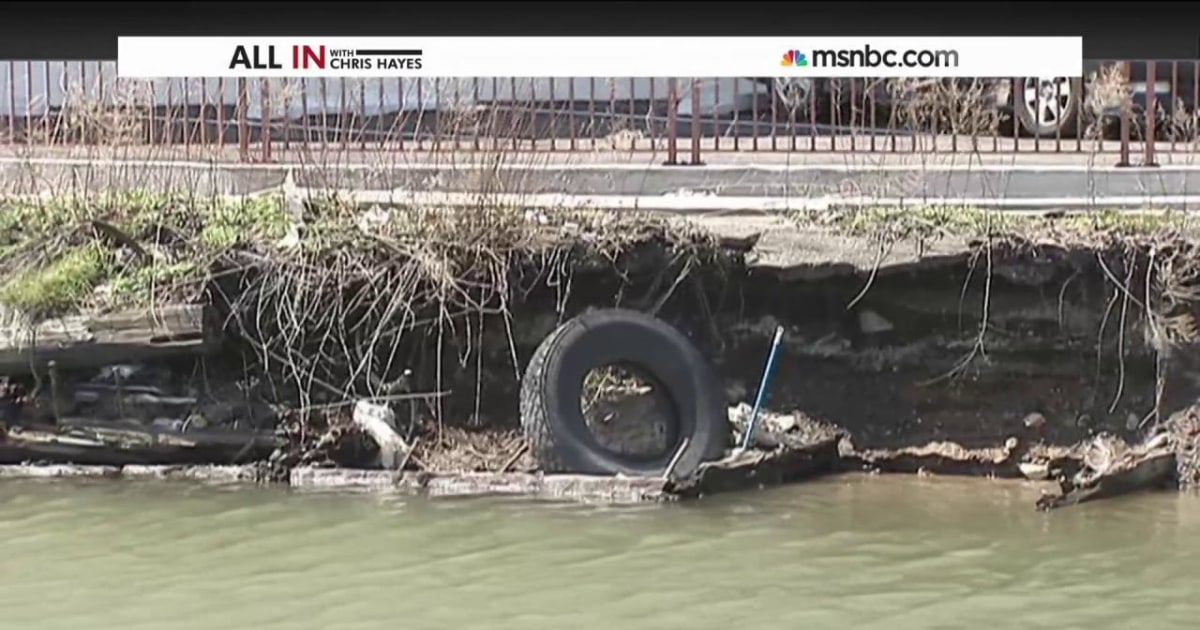 Guy swims the Gowanus, lives to tell the tale