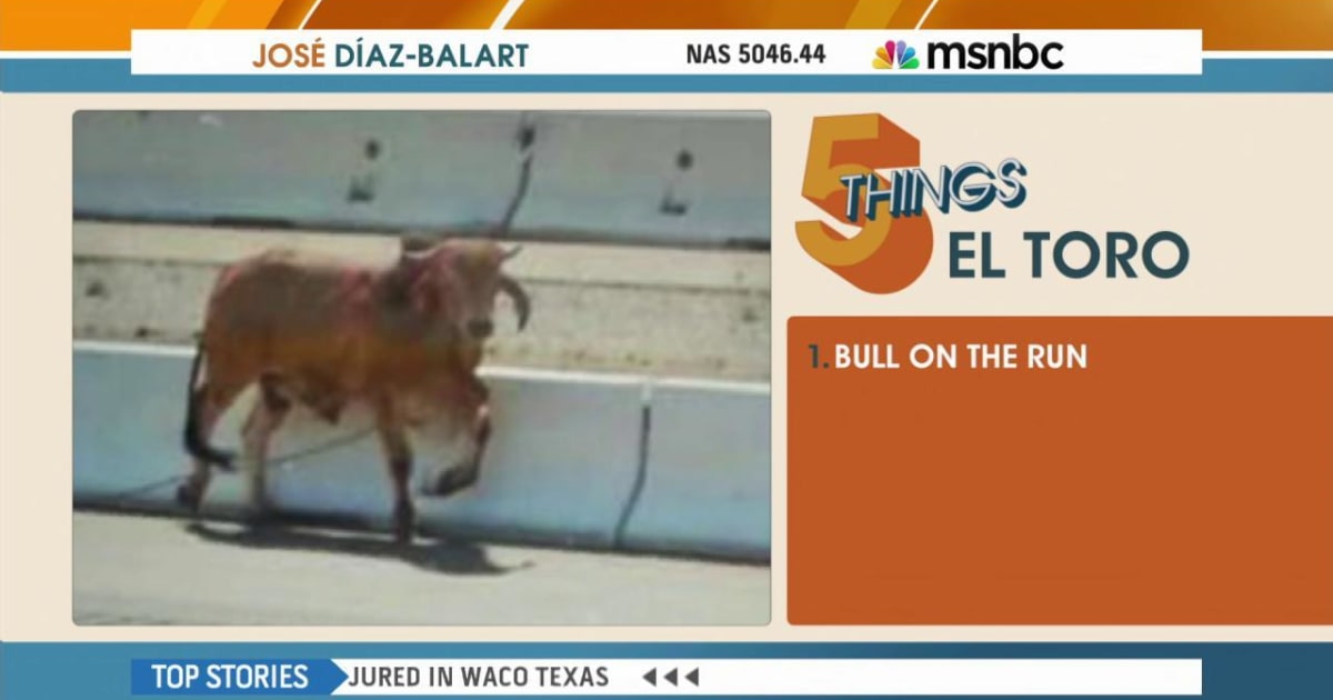 5 Things: El toro