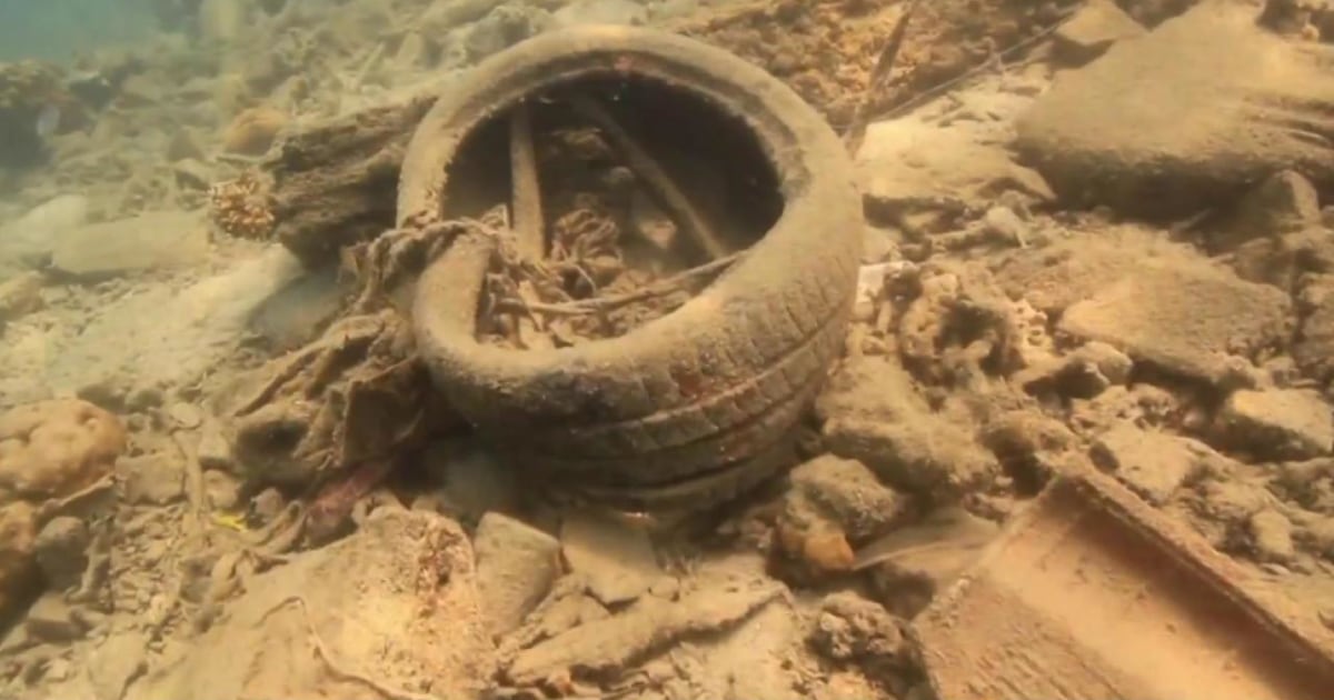 How contaminated is the seabed in Indonesia