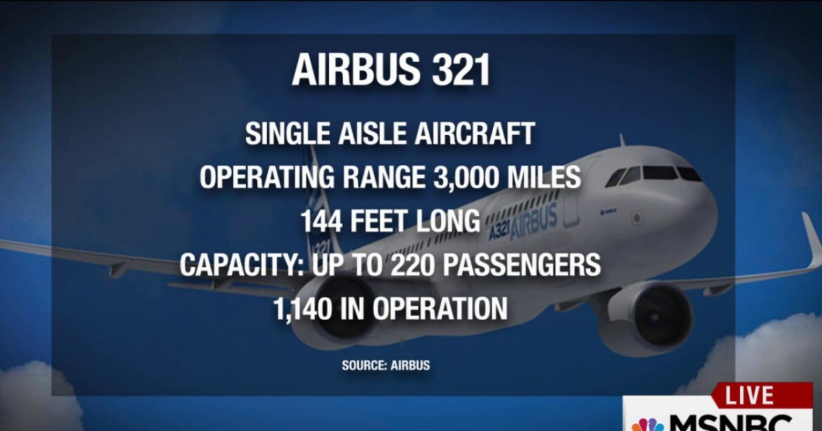 Ron Mott: Plane appears to have had 'pitch control' problem