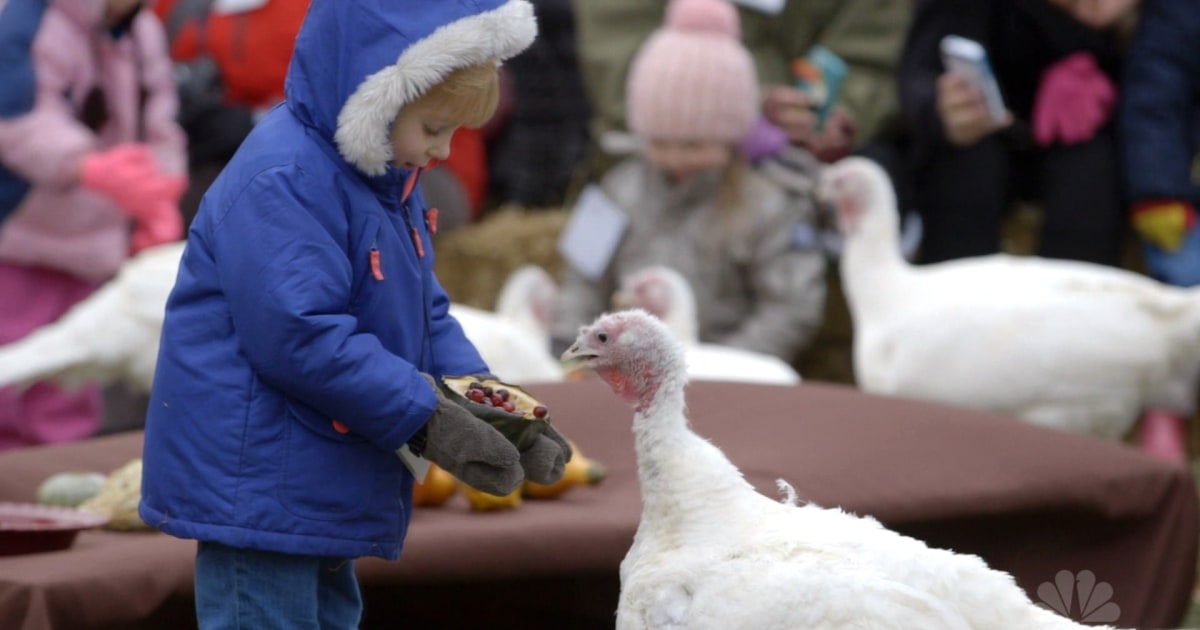 Celebrating the Turkeys at a Vegan Thanksgiving