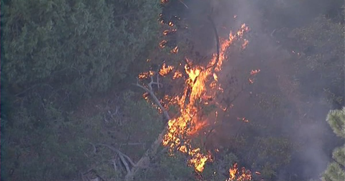 Fire Burns Through Northern New Mexico