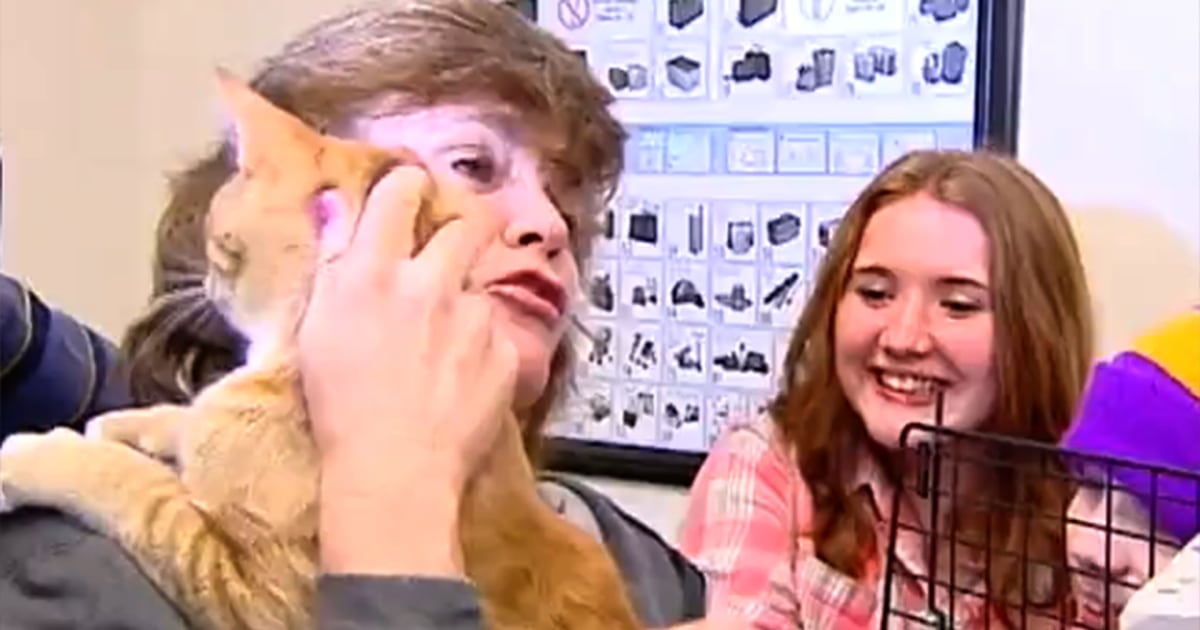 Kevin the Cat Finally Comes Home