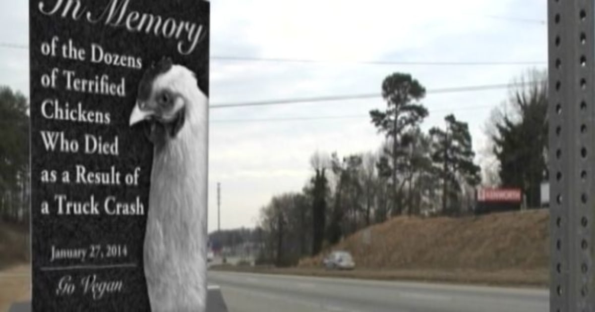 Crash Kills Chickens, PETA Wants Memorial