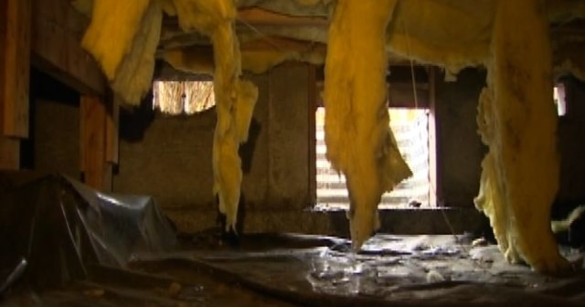 Intruder living in crawl space of woman’s home