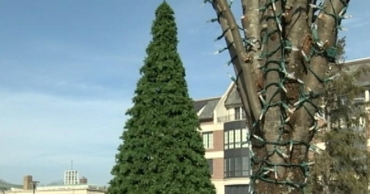 Town’s $30K fake Christmas tree sparks controversy
