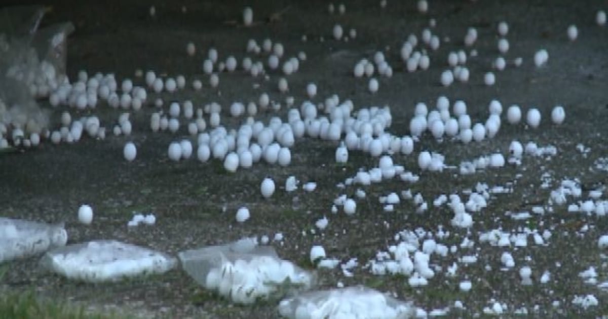Mothball Mess Angers Neighbors