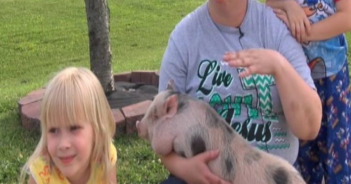 Pet Pig Saves Family From Fire