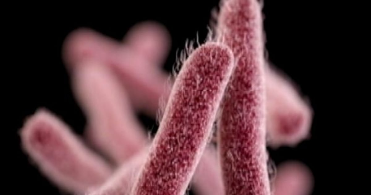 WHO Declares Superbugs 'Global Health Threat'