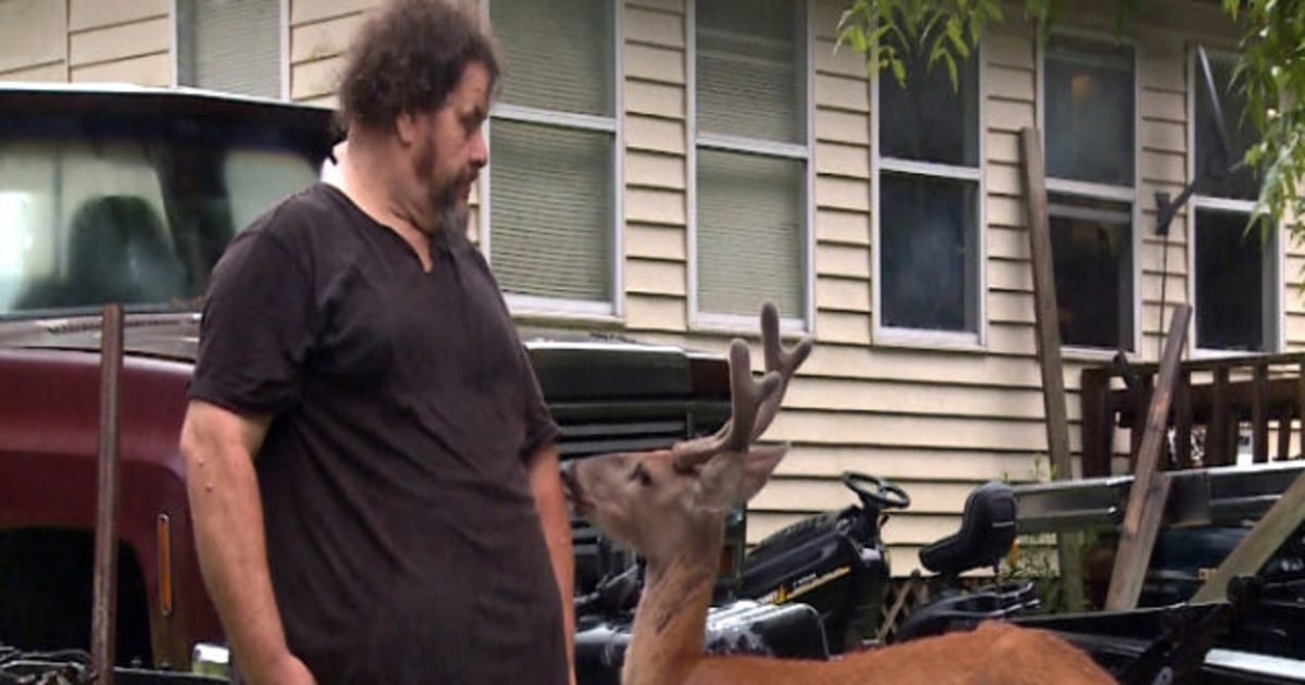 The Buck Stops Here?