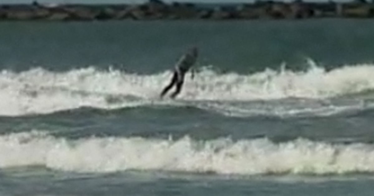 Fla. shark attack 'like a scene out of 'Jaws'