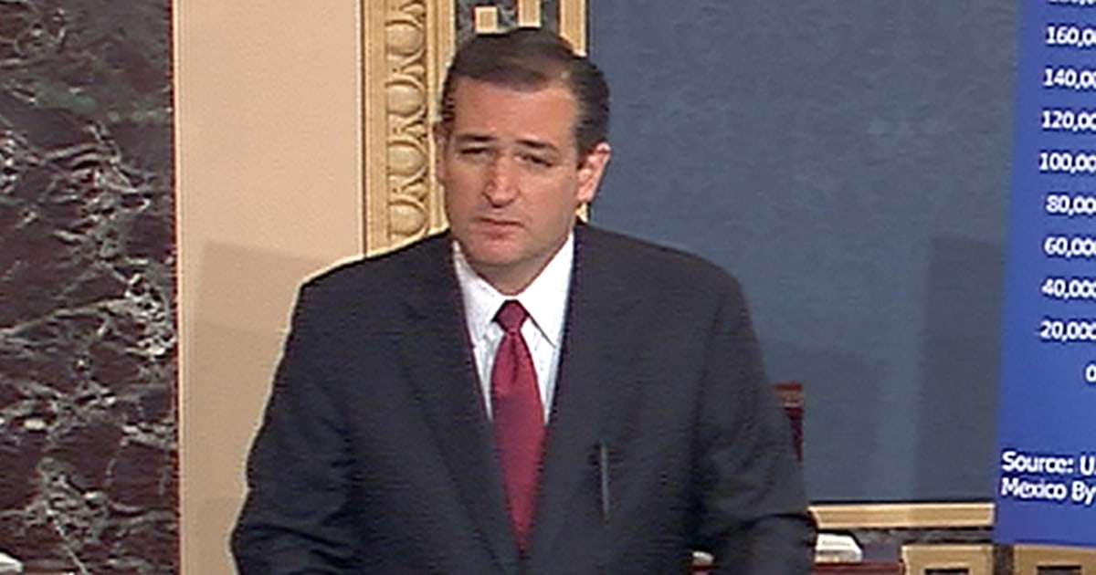 Cruz blasts Gang of Eight's border protection plan