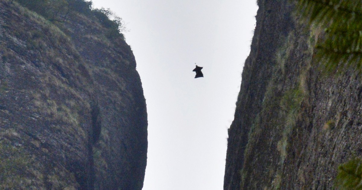American daredevil pulls off spectacular flight