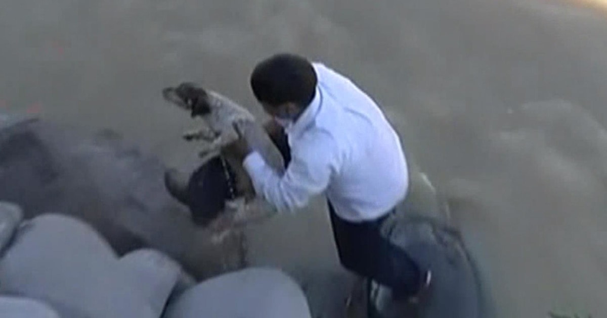 Man Rescues Dog From Raging River