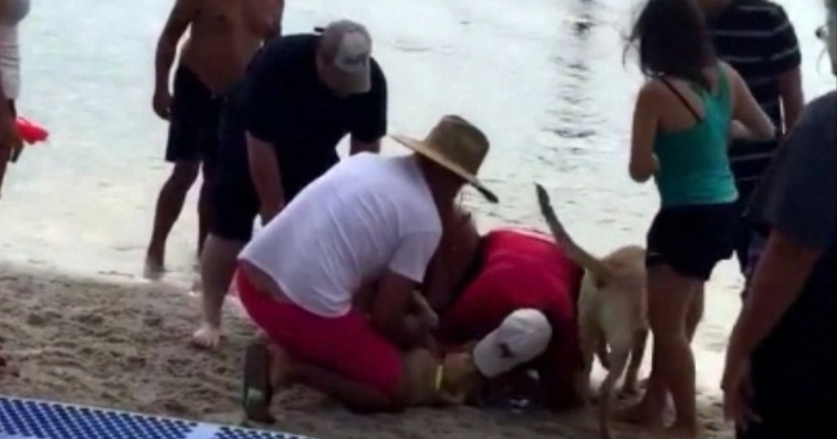 Drowning Dog Saved by CPR