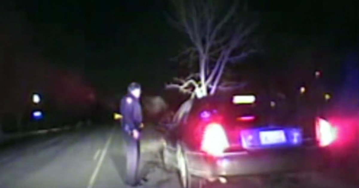 Cops Stop DUI Suspect With Tree Stuck in Front Grill