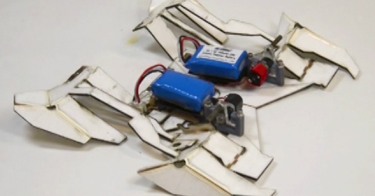 How an Origami Robot Takes Shape