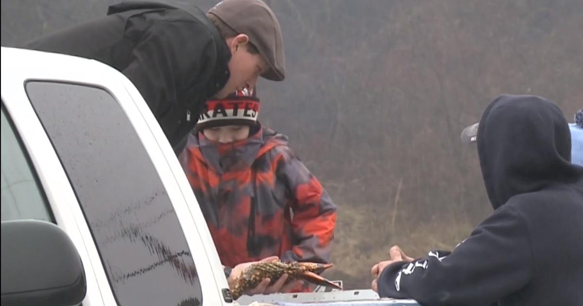 Family Uses Lobster To Spread Christmas Cheer