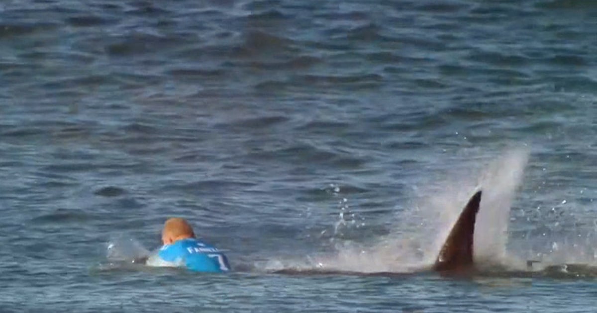 Watch Surfer Mick Fanning Fight Off Shark Attack