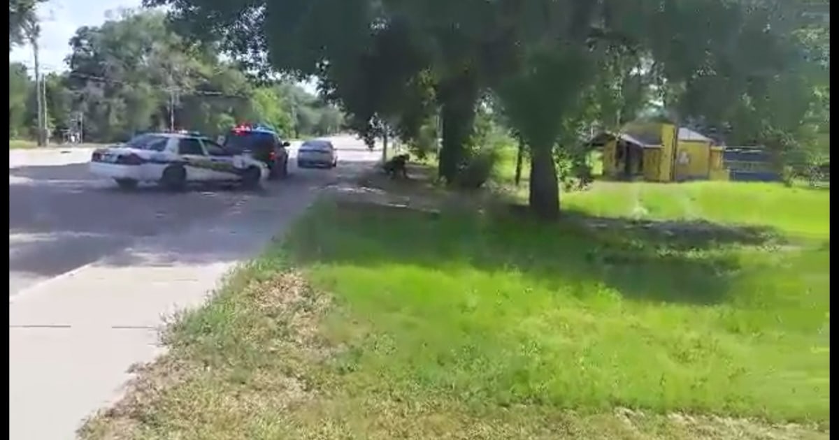Sandy Bland's Family Believes Raw Video Shows Her Arrest