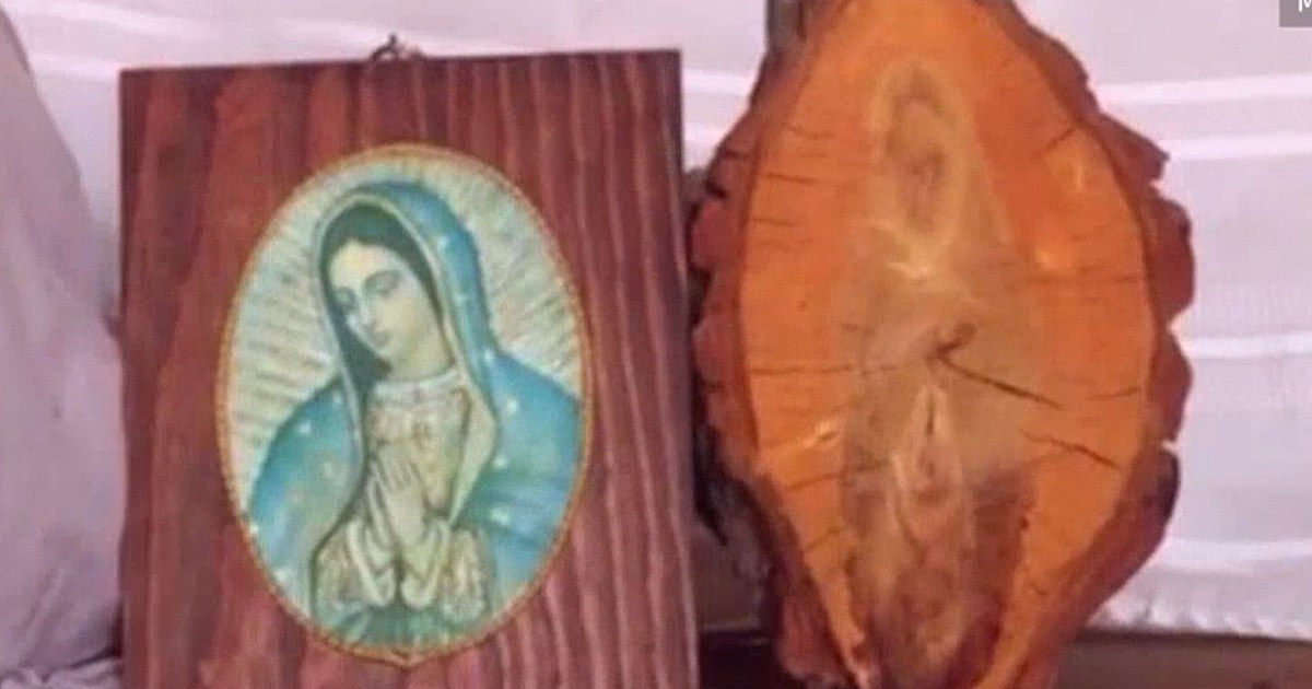 Tree Trimmer Sees Virgin Mary in a Log