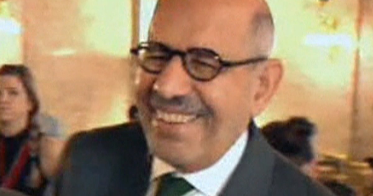 Panel: Dr. Mohamed ElBaradei could be the future leader