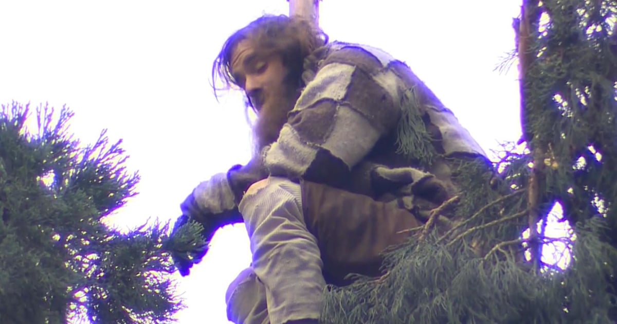 Seattle Man Spends 24 Hours in Tree
